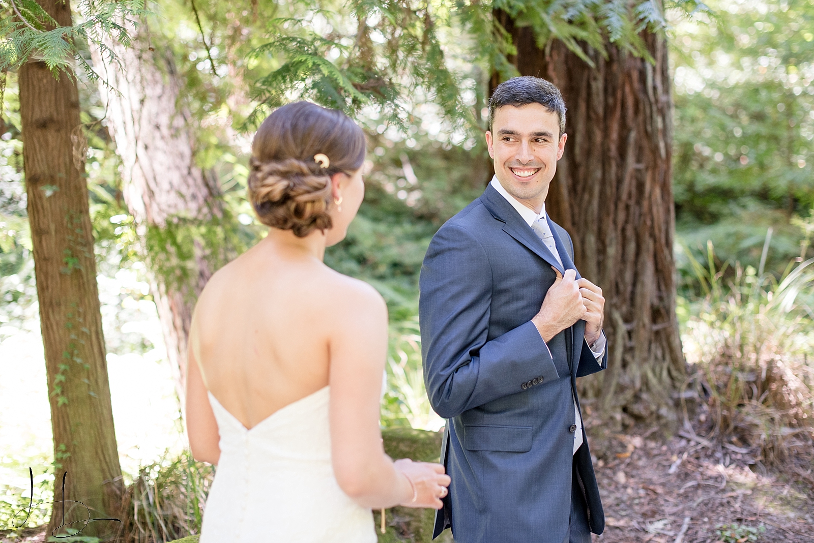 The First Look | A WordPress Site